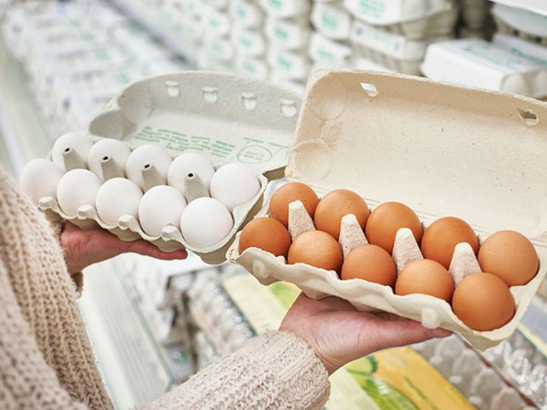 Nutrition Panels and Food Labels